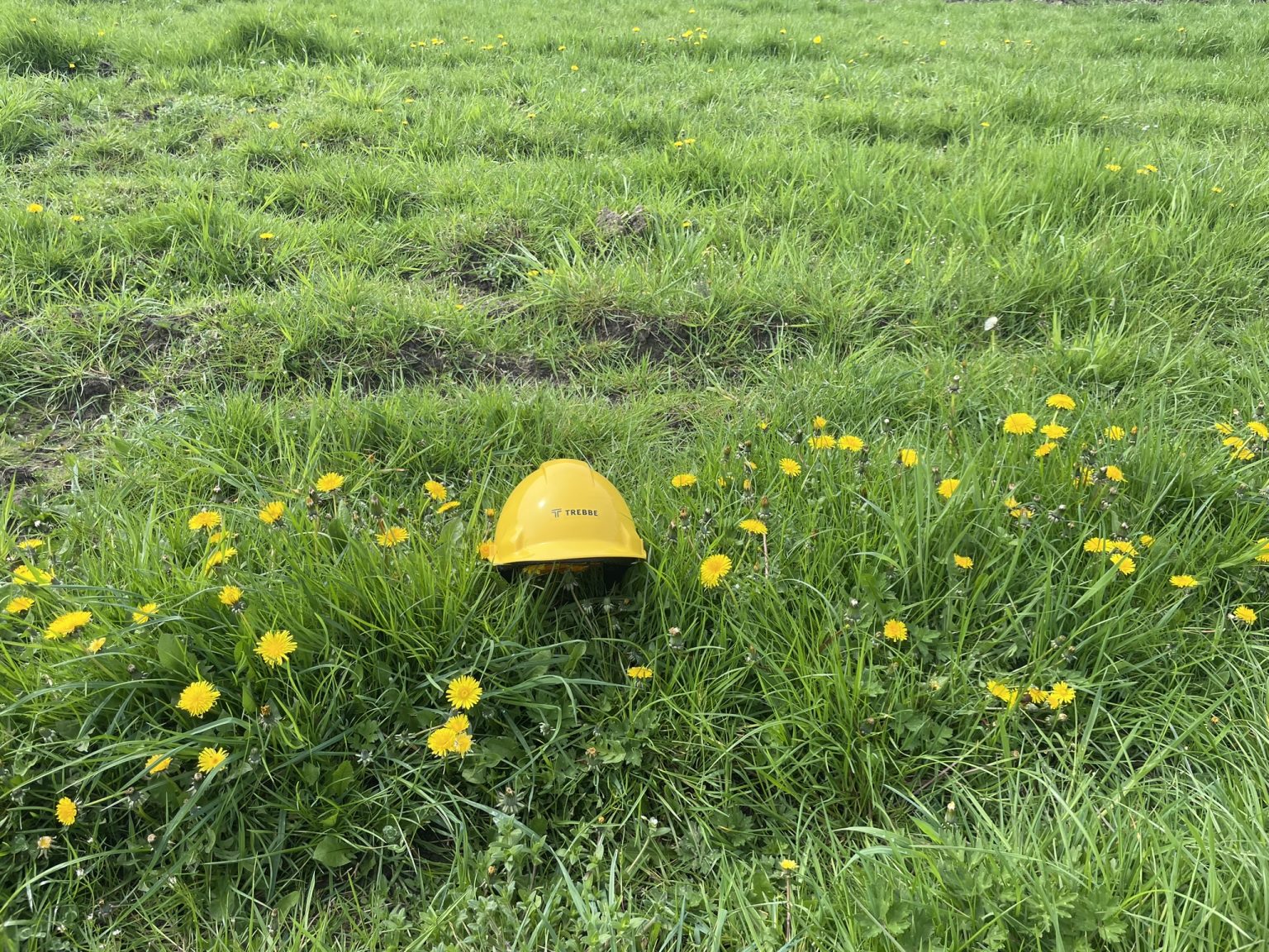 Over Trebbe - Zuiderweide